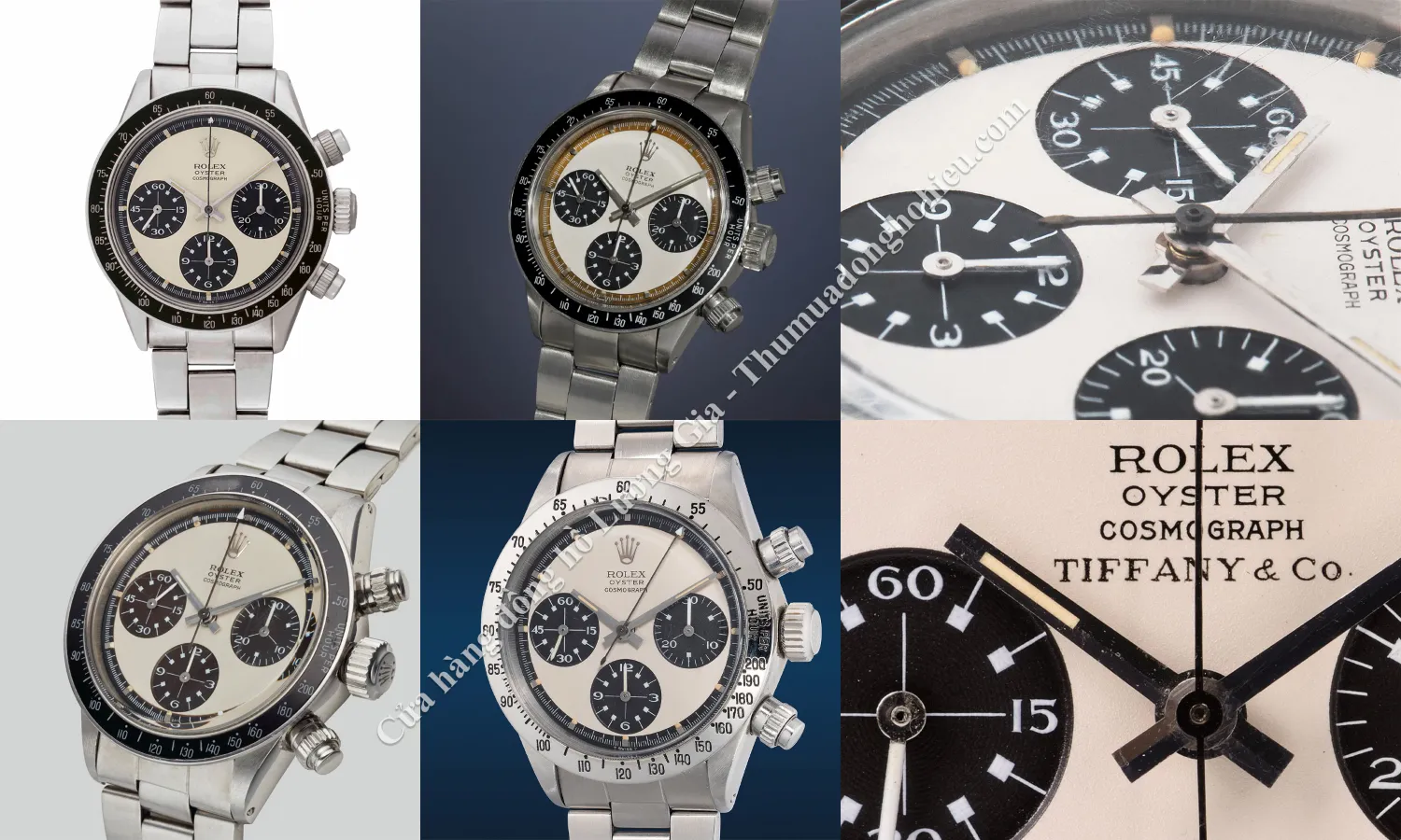 Rolex Daytona Paul Newman Panda: Giải mã sức hút, giá trị & tương lai